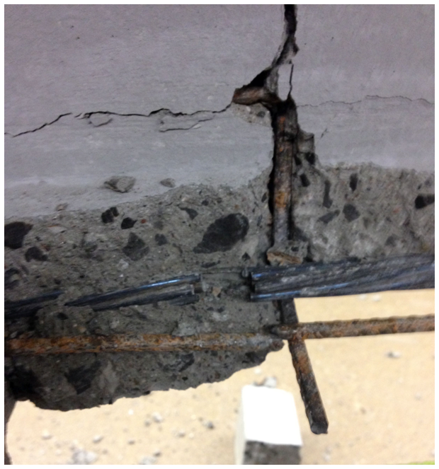 Home Page [ceias.nau.edu]