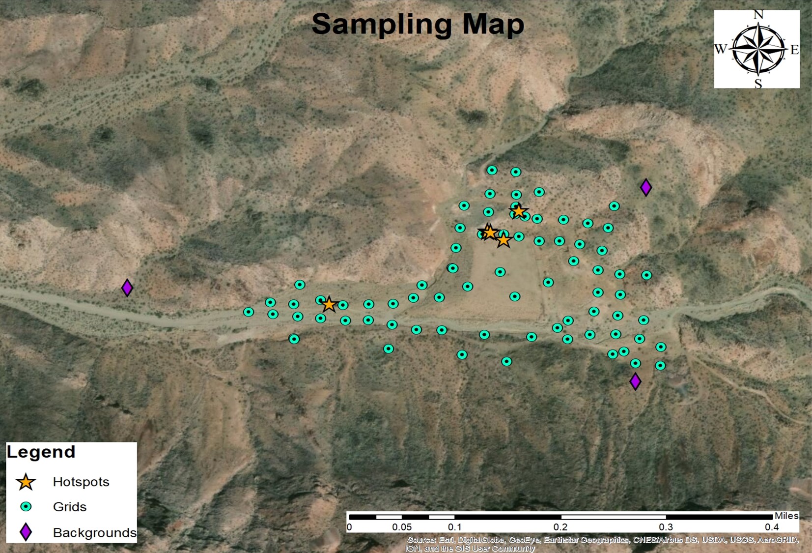 Tyro Mill-Project Information